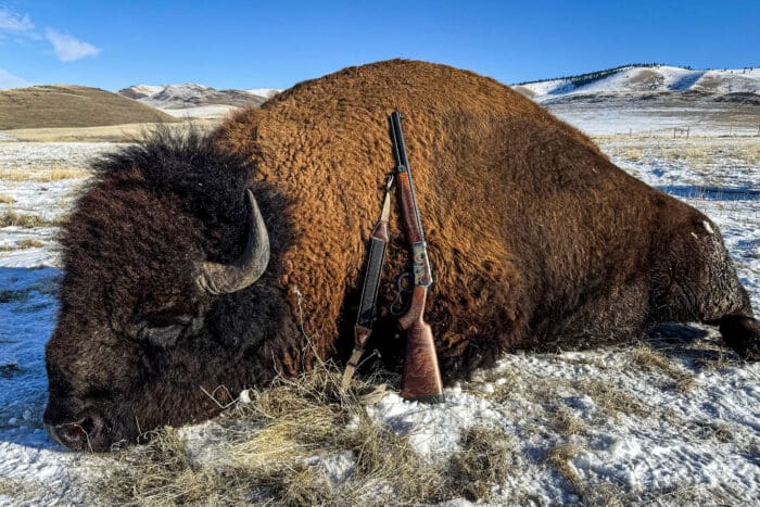 Blog - Big Horn Armory